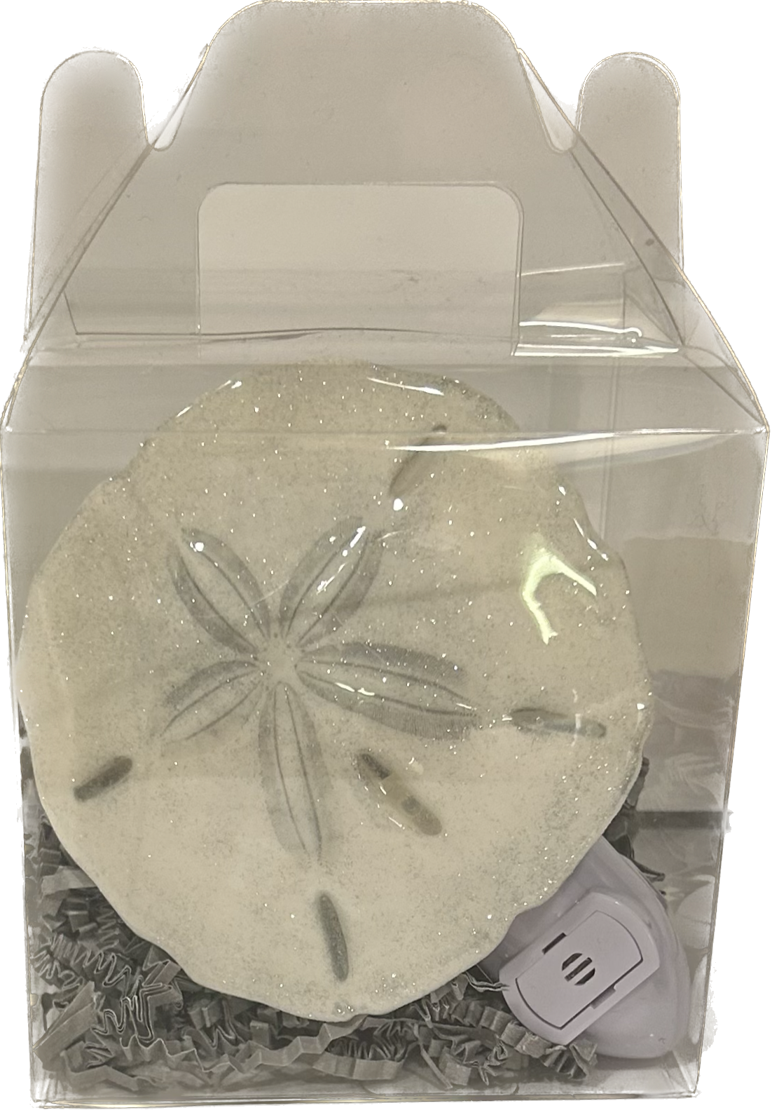 Sand Dollar Night Light – The Five Doves